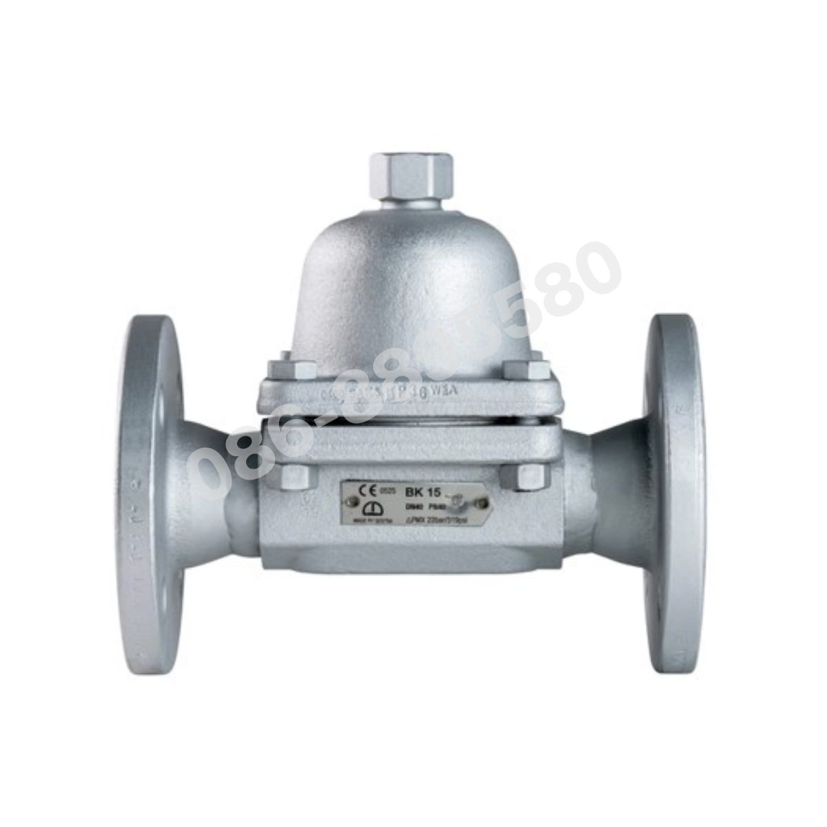 GESTRA STEAM TRAP BK15 | เมดิฟรุ๊ต บจก.