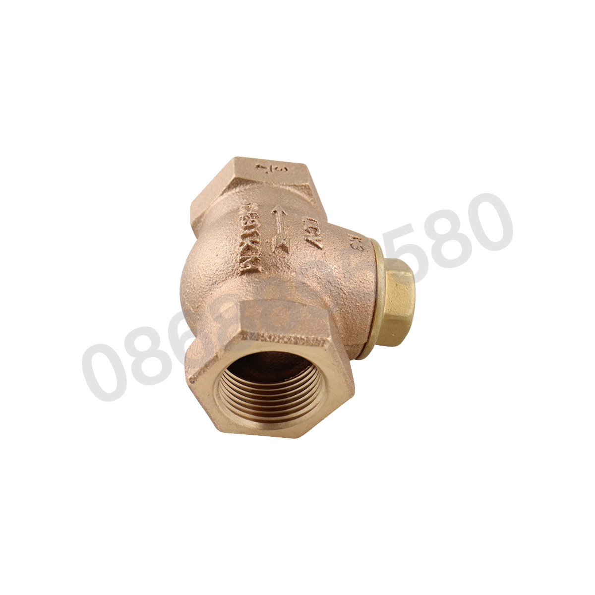 Lift Check Valve LCV1 | MEDI FRUIT CO., LTD.